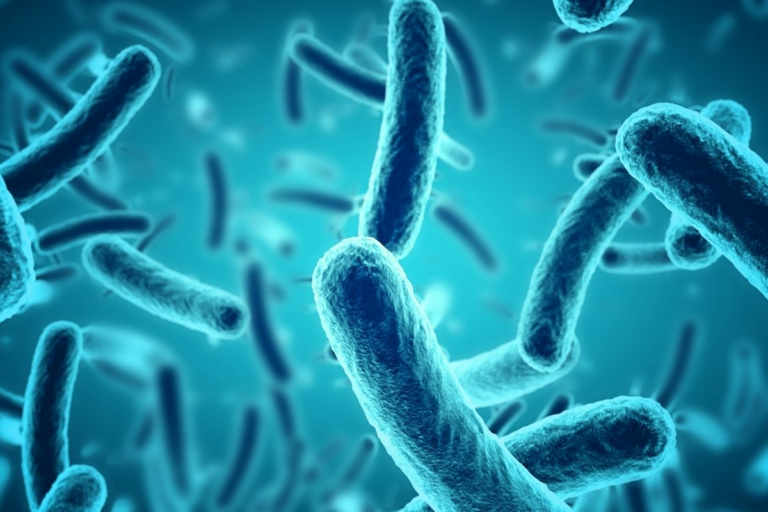 Why Do We Need Bacteria? Benefits & Examples - Immerse Education