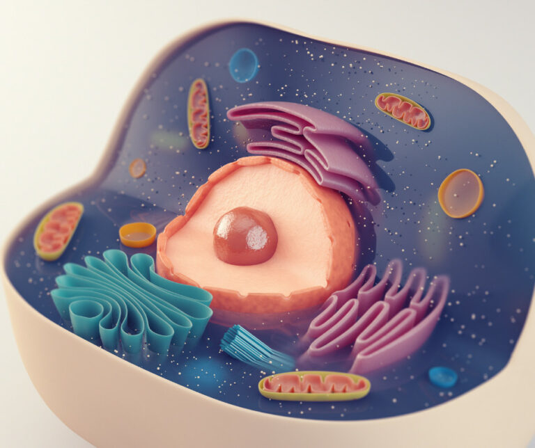 A Level Requirements For Biology - Immerse Education