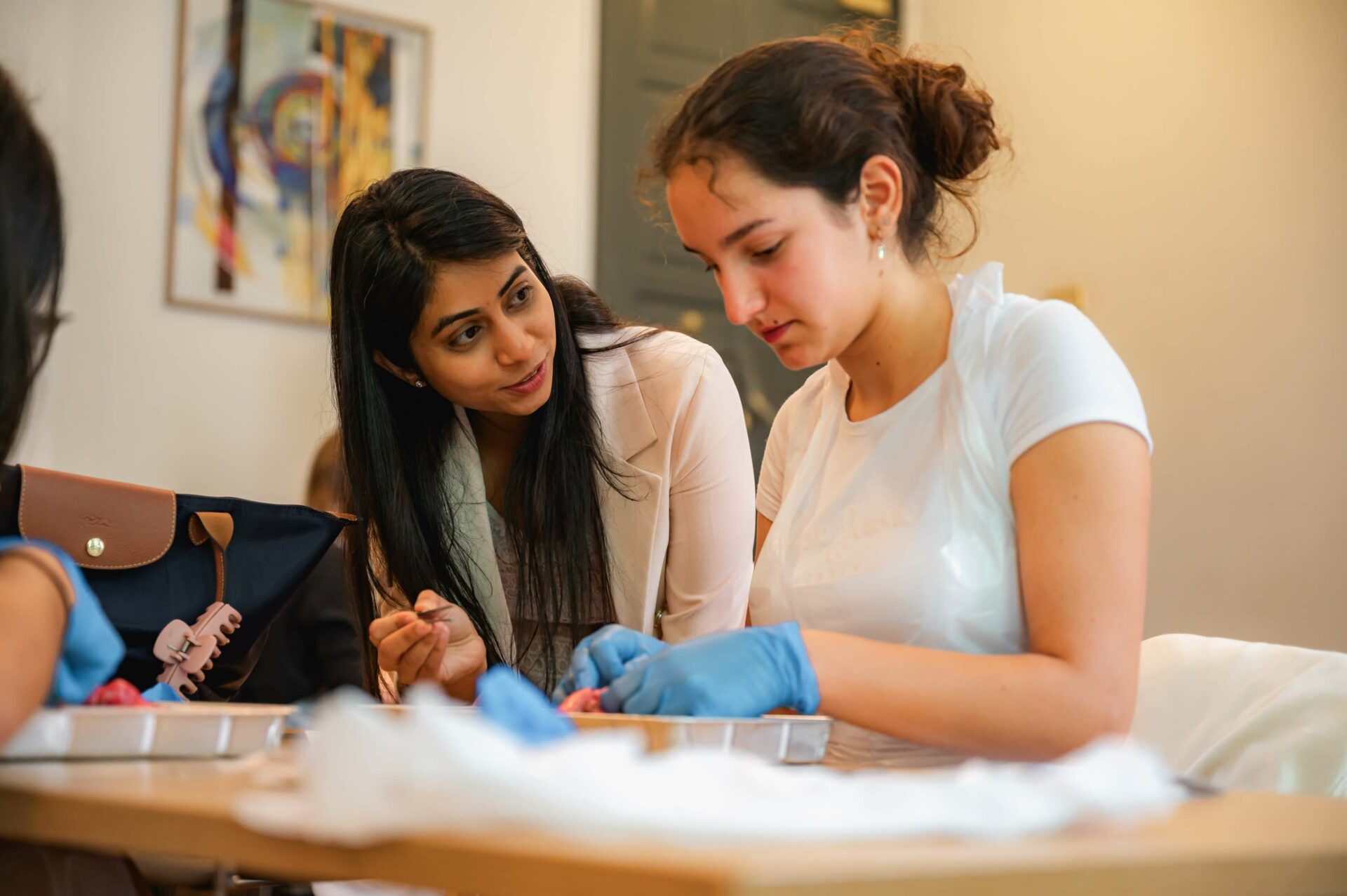 Immerse Education School Network