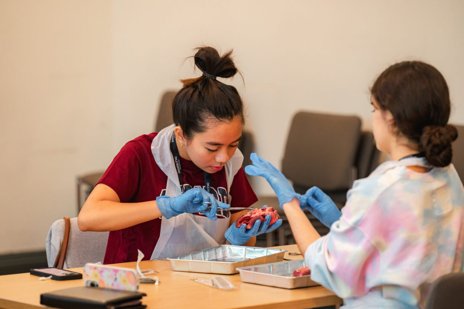 100 Ideas for Research Projects in Psychology - Immerse Education