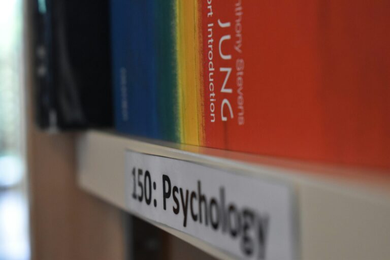 Complete Guide to the IB Extended Essay: Word Count, Topics and Examples