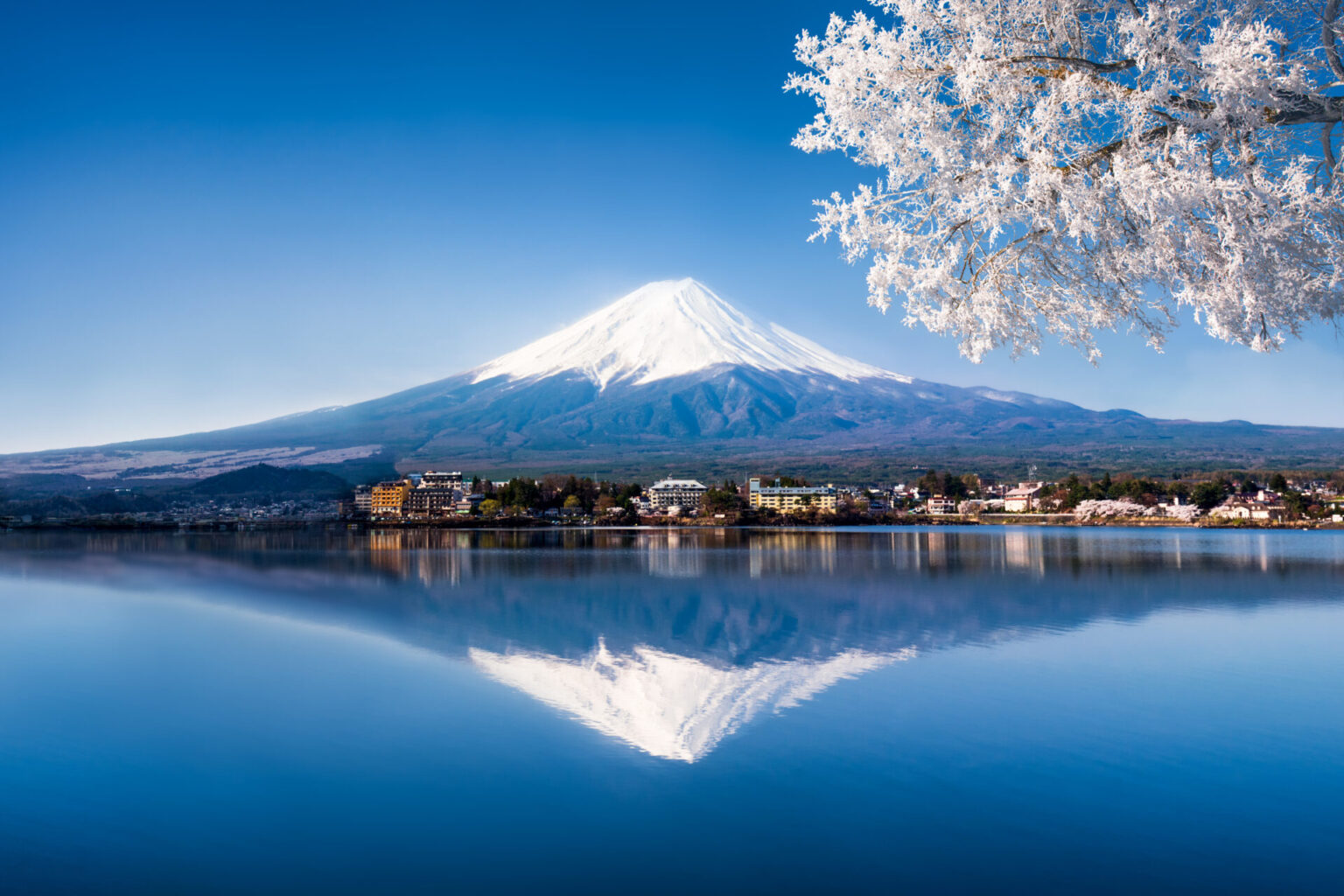 Tokyo Economics Summer School 2026