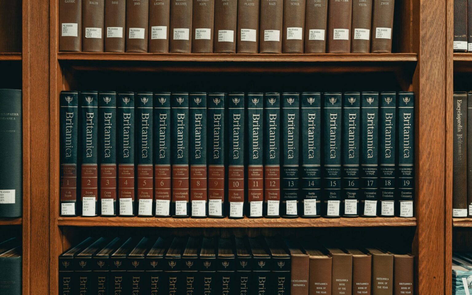 Law Work Experience: Why It's Essential for Aspiring Lawyers - Immerse ...