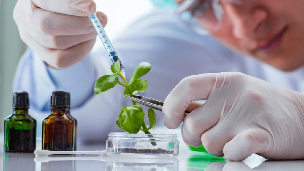 Summer Science Program 2026: Essential Guide for Students - Immerse ...