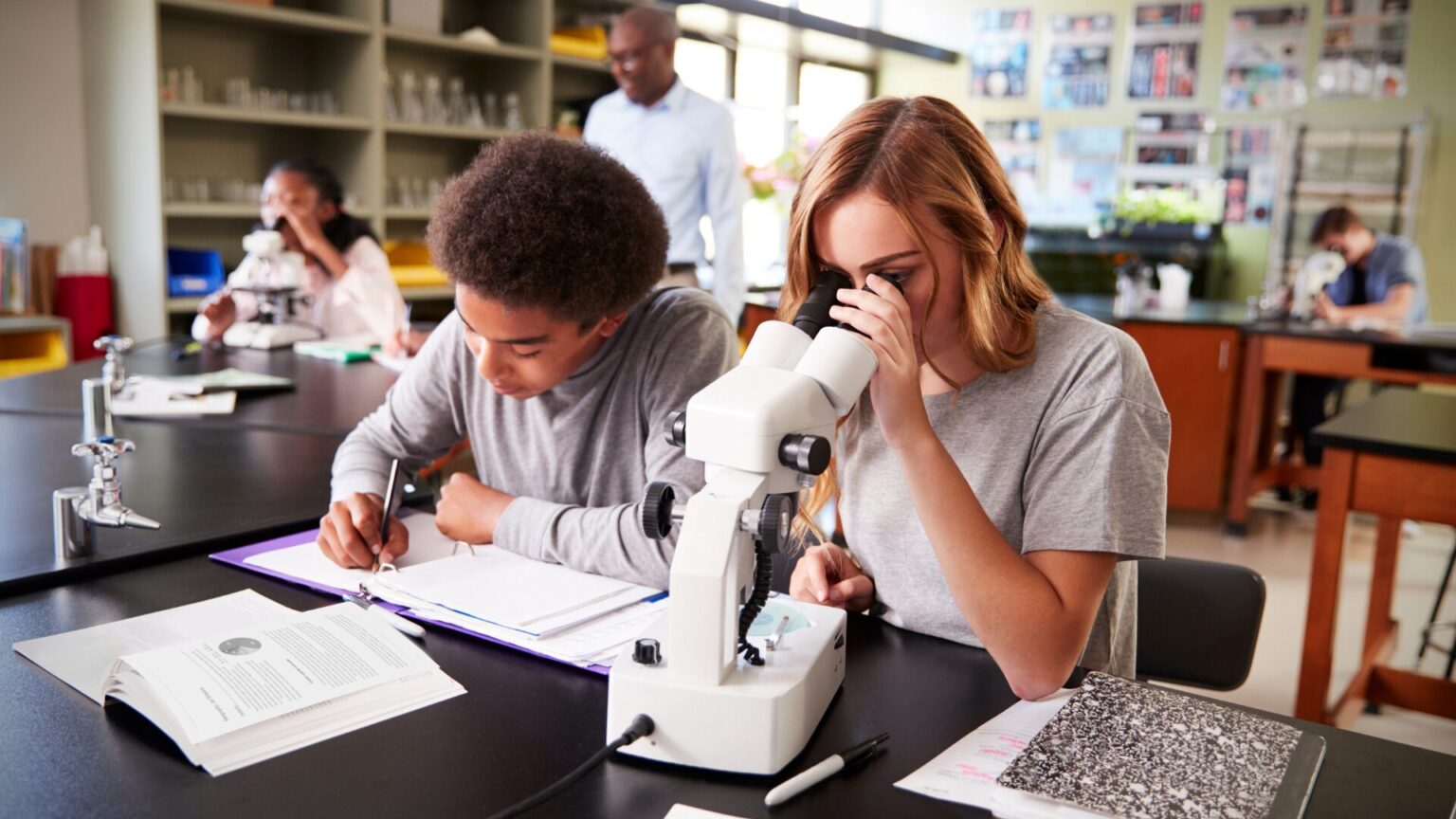 15 Summer School Programs for High School Students - Immerse Education