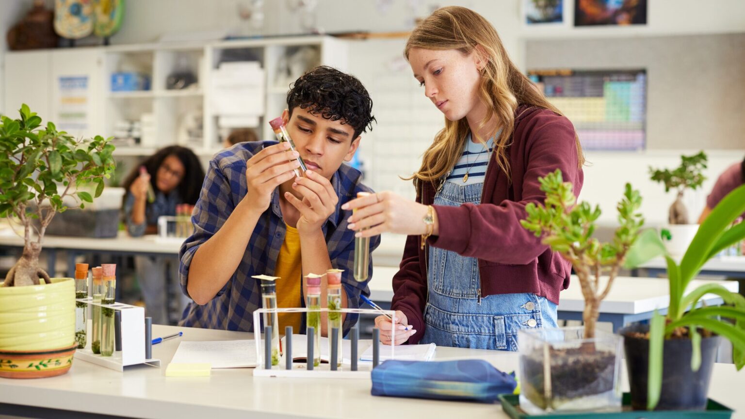 15 Best Biology Summer Programs for High School Students - Immerse ...