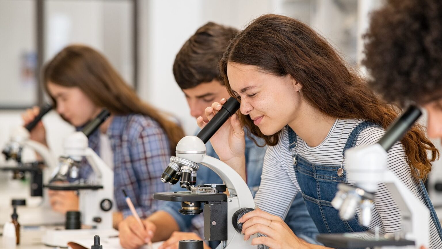 London International Youth Science Forum 2026 Guide - Immerse Education